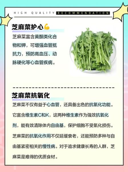 芝麻菜是什么菜_芝麻菜怎么吃-第1张图片-山城妙识