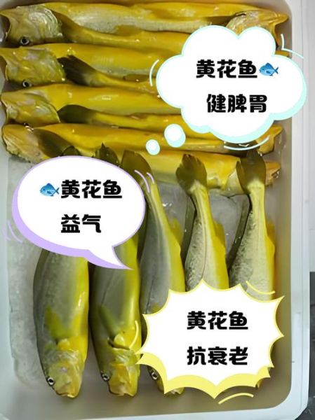 野生黄花鱼的营养价值_野生黄花鱼有哪些营养成分-第1张图片-山城妙识