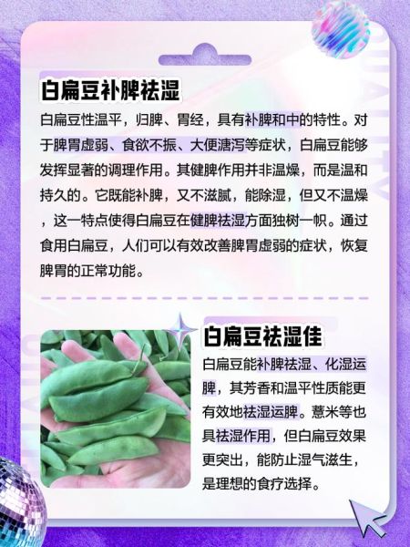 白扁豆的功效与作用_白扁豆怎么吃最养胃-第1张图片-山城妙识 白扁豆的功效与作用_白扁豆怎么吃最养胃-第1张图片-山城妙识