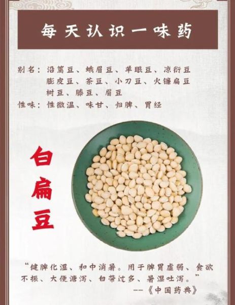 白扁豆的功效与作用_白扁豆怎么吃最养胃-第3张图片-山城妙识 白扁豆的功效与作用_白扁豆怎么吃最养胃-第3张图片-山城妙识