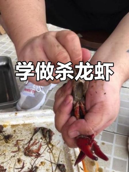 大龙虾怎么杀_大龙虾杀法图解-第1张图片-山城妙识