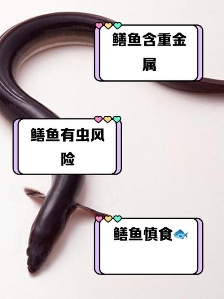 养黄鳝为什么不赚钱_新手养黄鳝失败原因-第2张图片-山城妙识