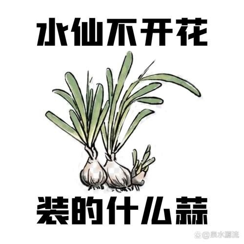 歇后语表情包怎么做_歇后语表情包怎么火-第1张图片-山城妙识 歇后语表情包怎么做_歇后语表情包怎么火-第1张图片-山城妙识