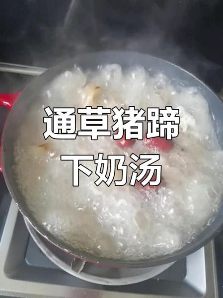 通草猪蹄汤通草放多少_一次放几克才下奶-第1张图片-山城妙识 通草猪蹄汤通草放多少_一次放几克才下奶-第1张图片-山城妙识