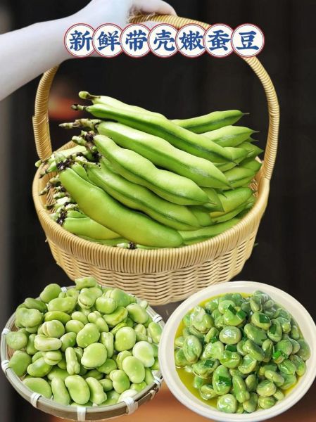 鲜蚕豆的营养价值_鲜蚕豆的功效与作用-第3张图片-山城妙识