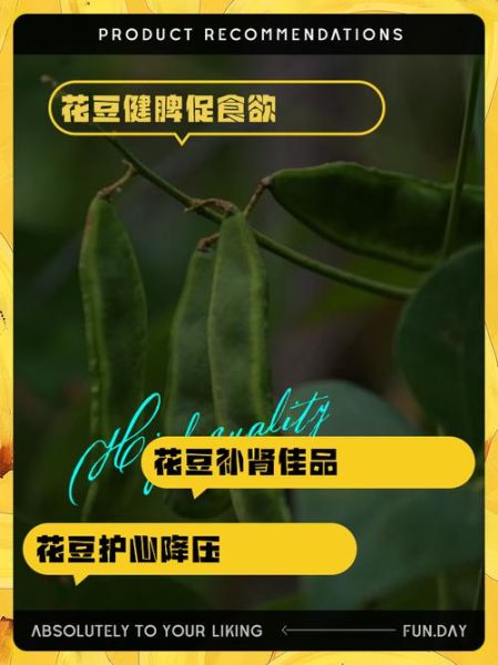 大花豆的功效与作用_大花豆怎么吃最养肾-第1张图片-山城妙识
