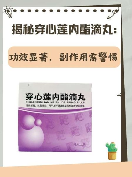 穿心莲内酯滴丸的功效与作用_怎么吃效果最好-第1张图片-山城妙识