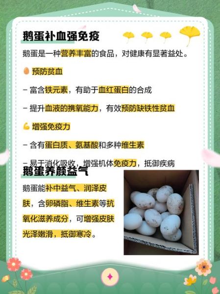 吃鹅蛋的好处_鹅蛋的功效与作用-第2张图片-山城妙识