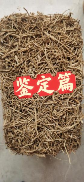 野山参图片真假辨别_野山参价格多少钱一克-第2张图片-山城妙识