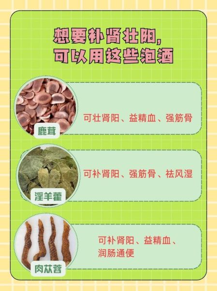 补肾壮阳泡酒配方大全_泡酒用什么药材效果最好-第1张图片-山城妙识