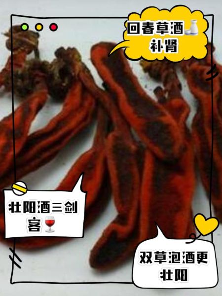 补肾壮阳泡酒配方大全_泡酒用什么药材效果最好-第3张图片-山城妙识