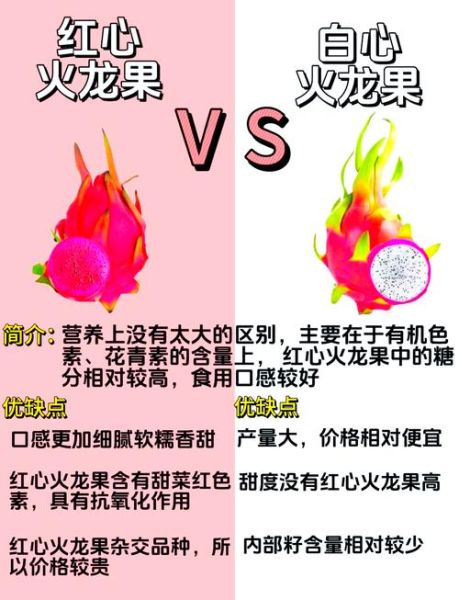 白心火龙果和红心火龙果哪个好_功效区别在哪-第1张图片-山城妙识 白心火龙果和红心火龙果哪个好_功效区别在哪-第1张图片-山城妙识