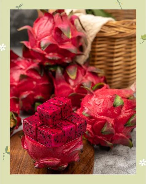 白心火龙果和红心火龙果哪个好_功效区别在哪-第3张图片-山城妙识 白心火龙果和红心火龙果哪个好_功效区别在哪-第3张图片-山城妙识