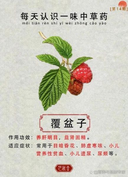 野生覆盆子有什么功效_野生覆盆子怎么吃最好-第2张图片-山城妙识