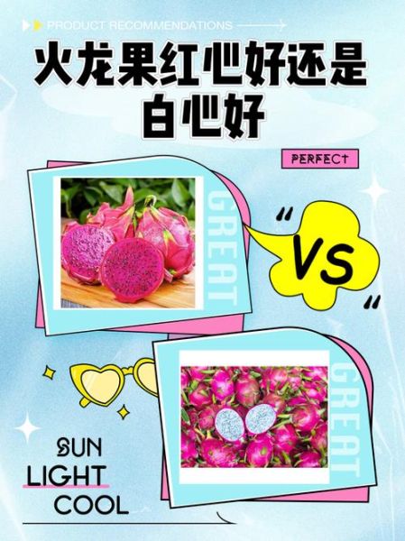 白心火龙果和红心火龙果哪个好_功效区别在哪-第2张图片-山城妙识 白心火龙果和红心火龙果哪个好_功效区别在哪-第2张图片-山城妙识