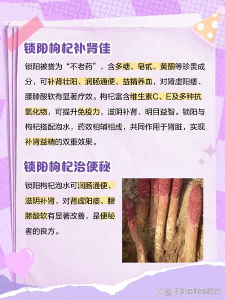 锁阳泡水喝的功效_锁阳泡水怎么喝最有效-第1张图片-山城妙识