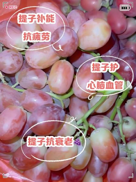 提子吃了有什么好处_提子能减肥吗-第1张图片-山城妙识