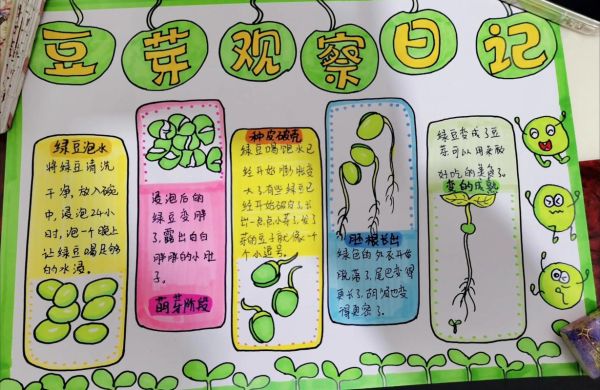 豆芽生长观察日记怎么写_豆芽生长过程记录表模板-第2张图片-山城妙识