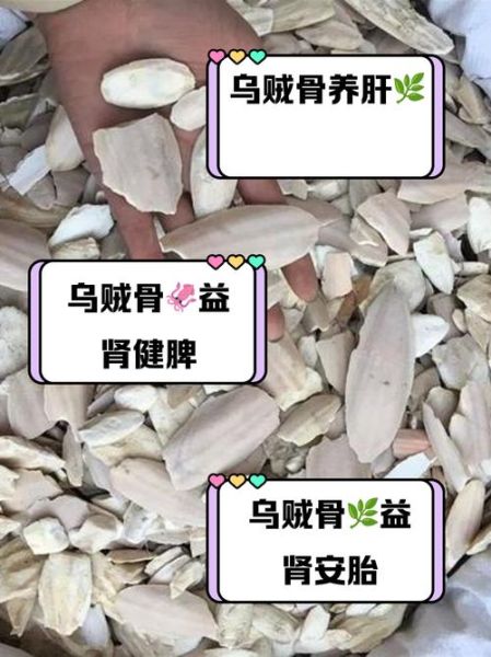 乌贼骨怎么用_乌贼骨一天吃多少-第2张图片-山城妙识