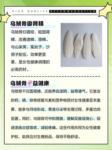 乌贼骨怎么用_乌贼骨一天吃多少-第1张图片-山城妙识