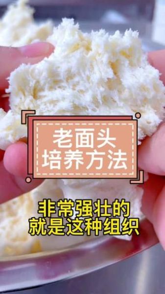 老面怎么保存_老面发面技巧有哪些-第1张图片-山城妙识 老面怎么保存_老面发面技巧有哪些-第1张图片-山城妙识