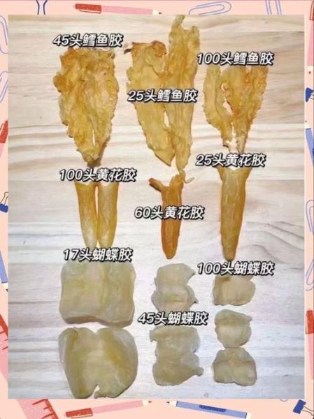 花胶种类排名_花胶哪种最好-第2张图片-山城妙识