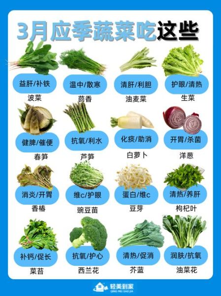 蔬菜的种类有哪些_蔬菜分类大全-第3张图片-山城妙识 蔬菜的种类有哪些_蔬菜分类大全-第3张图片-山城妙识