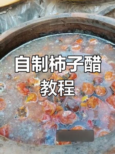 柿子醋怎么做_自制柿子醋的正确步骤-第1张图片-山城妙识