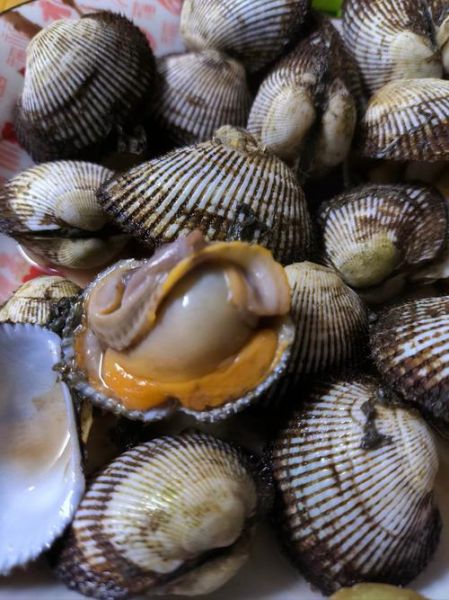 毛蛤蜊哪里不能吃_毛蛤蜊哪些部位有毒-第1张图片-山城妙识