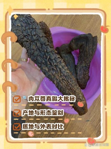 肉松蓉图片_如何辨别真假-第1张图片-山城妙识