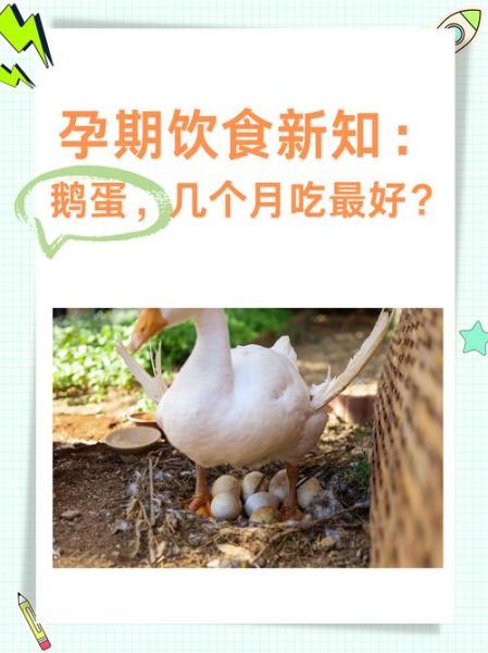 鹅蛋的营养价值_孕妇可以吃鹅蛋吗-第3张图片-山城妙识
