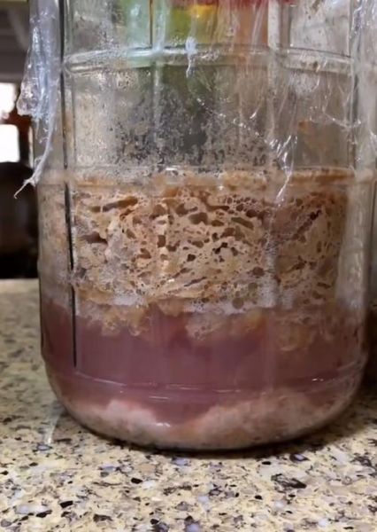 自制葡萄酒的危害_自制葡萄酒注意事项-第3张图片-山城妙识