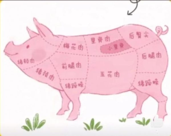 猪颈肉和梅花肉的区别_哪个部位更好吃-第1张图片-山城妙识 猪颈肉和梅花肉的区别_哪个部位更好吃-第1张图片-山城妙识