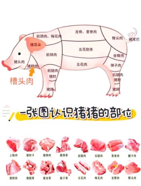 猪颈肉和梅花肉的区别_哪个部位更好吃-第3张图片-山城妙识 猪颈肉和梅花肉的区别_哪个部位更好吃-第3张图片-山城妙识
