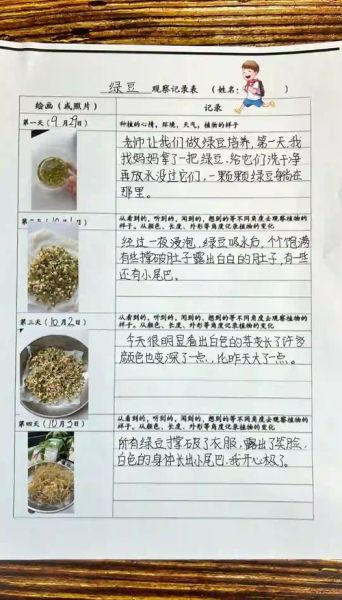 绿豆观察日记评语怎么写_小学生观察日记点评范例-第1张图片-山城妙识