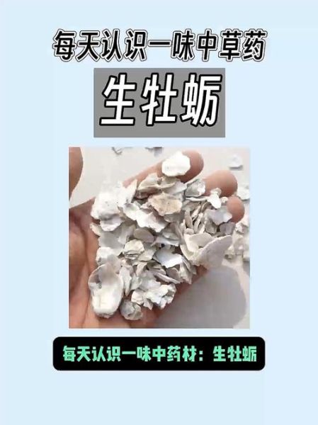 牡蛎壳的功效与作用_牡蛎壳能补钙吗-第1张图片-山城妙识
