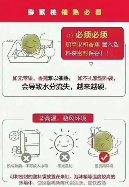 猕猴桃怎么催熟_猕猴桃催熟方法22种-第1张图片-山城妙识 猕猴桃怎么催熟_猕猴桃催熟方法22种-第1张图片-山城妙识