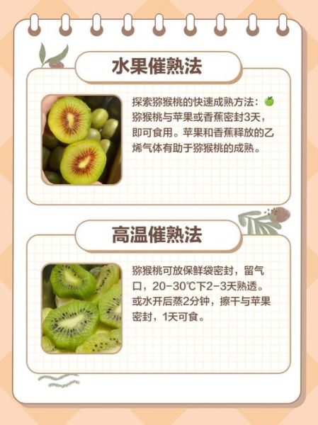 猕猴桃怎么催熟_猕猴桃催熟方法22种-第3张图片-山城妙识 猕猴桃怎么催熟_猕猴桃催熟方法22种-第3张图片-山城妙识
