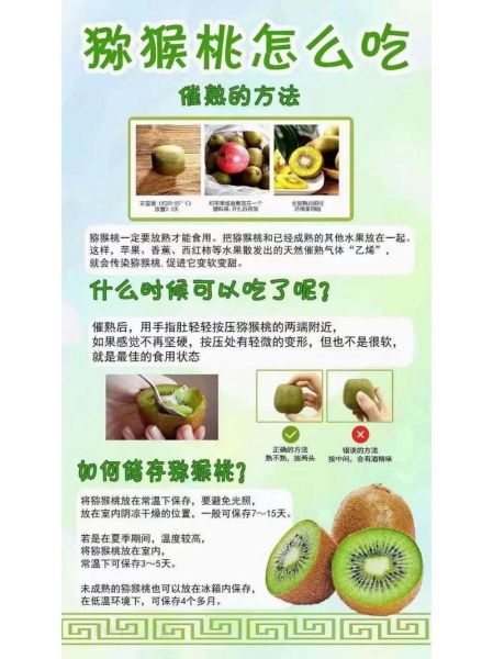 猕猴桃怎么催熟_猕猴桃催熟方法22种-第2张图片-山城妙识 猕猴桃怎么催熟_猕猴桃催熟方法22种-第2张图片-山城妙识