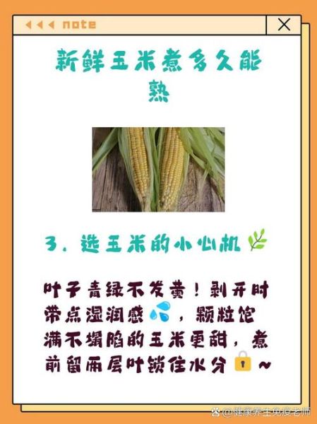 煮甜玉米需要多长时间熟_甜玉米煮多久才软糯-第1张图片-山城妙识 煮甜玉米需要多长时间熟_甜玉米煮多久才软糯-第1张图片-山城妙识
