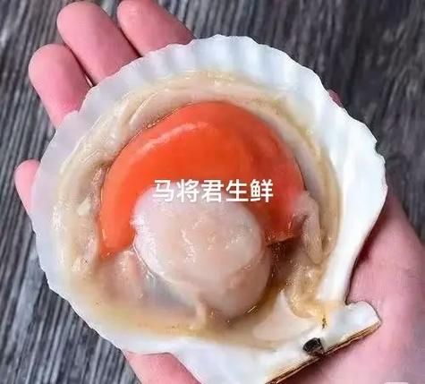 虾夷扇贝的营养价值_虾夷扇贝怎么吃最营养-第3张图片-山城妙识 虾夷扇贝的营养价值_虾夷扇贝怎么吃最营养-第3张图片-山城妙识