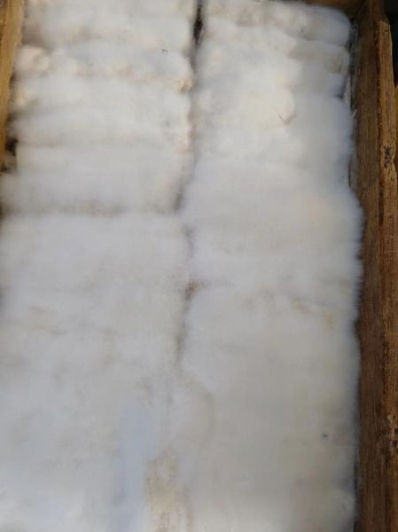 霉千张筒怎么做好吃_霉千张筒的家常做法-第3张图片-山城妙识