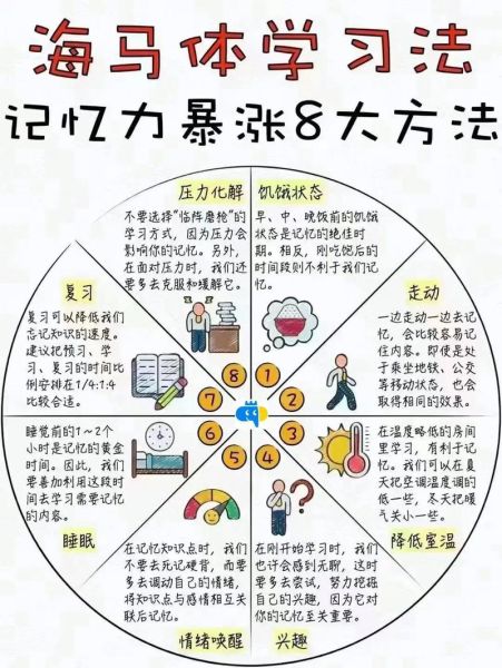 增强记忆力最有效的办法是什么_如何快速提高记忆力-第2张图片-山城妙识 增强记忆力最有效的办法是什么_如何快速提高记忆力-第2张图片-山城妙识