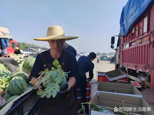 瓜老板是什么_瓜老板怎么赚钱-第1张图片-山城妙识