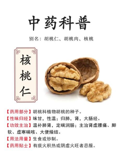 山核桃仁的功效与作用_山核桃仁的禁忌人群-第1张图片-山城妙识