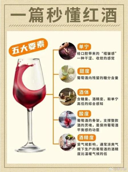 红酒的功效与作用_每天喝多少才健康-第3张图片-山城妙识
