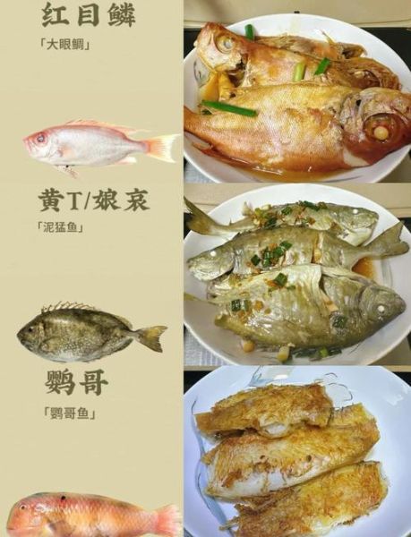 海鱼怎么蒸才鲜嫩_海鱼做法大全带图-第2张图片-山城妙识