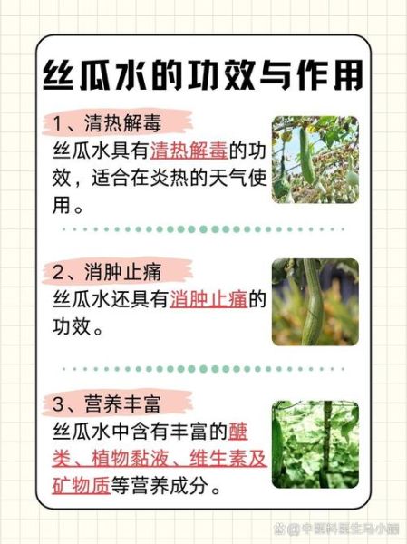 丝瓜水每天喝多少合适_丝瓜水一天喝几次最好-第1张图片-山城妙识 丝瓜水每天喝多少合适_丝瓜水一天喝几次最好-第1张图片-山城妙识