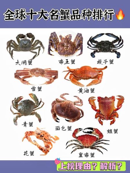 海蟹品种有哪些_哪种海蟹最好吃-第3张图片-山城妙识