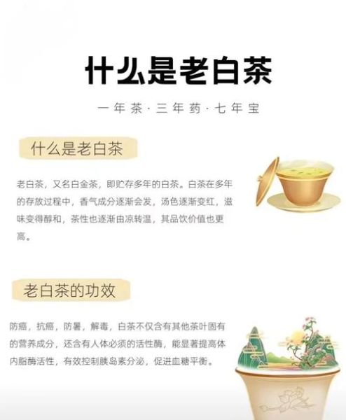 女人适合喝白茶吗_白茶的功效与作用-第3张图片-山城妙识